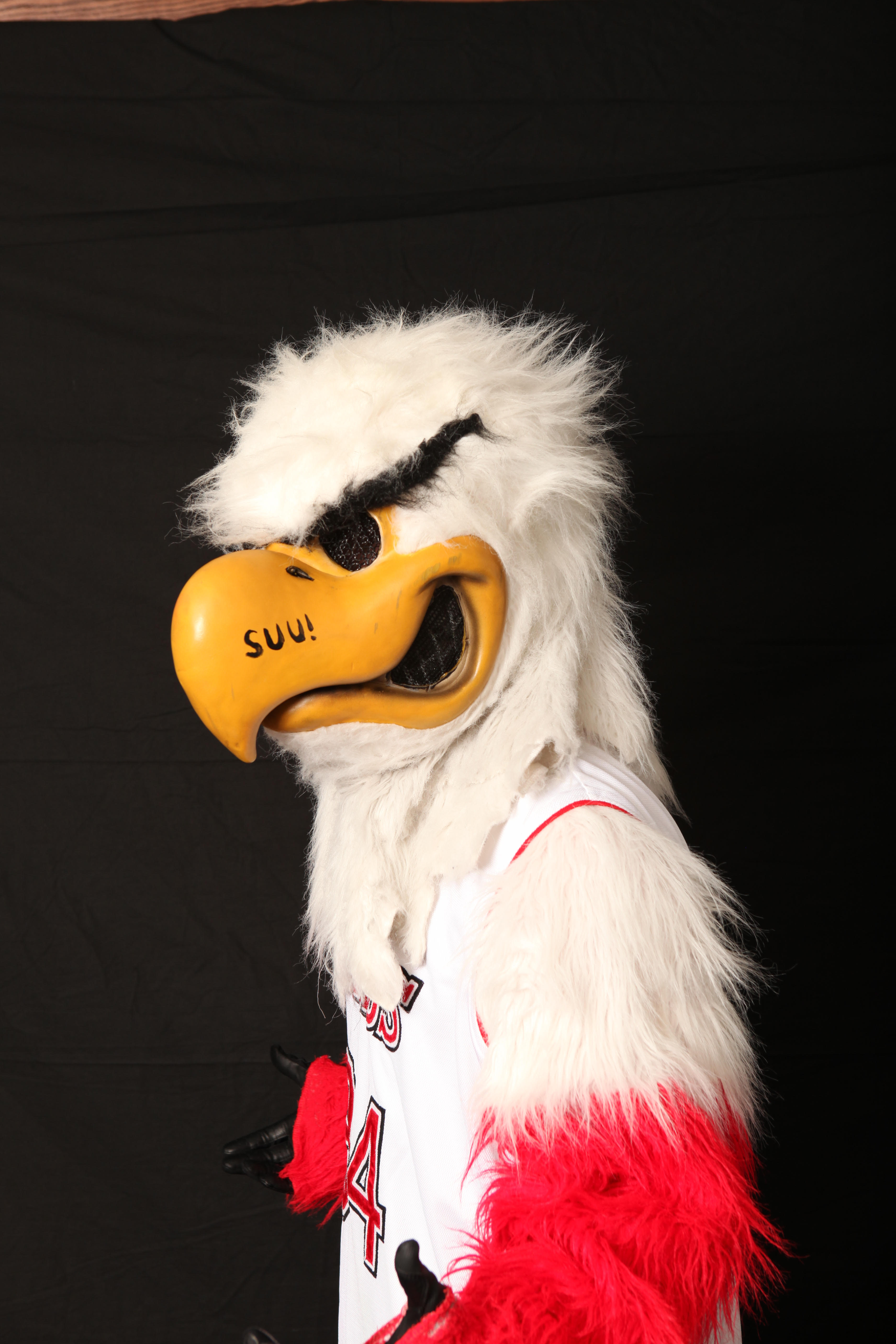 Thor the Thunderbird - SUU News