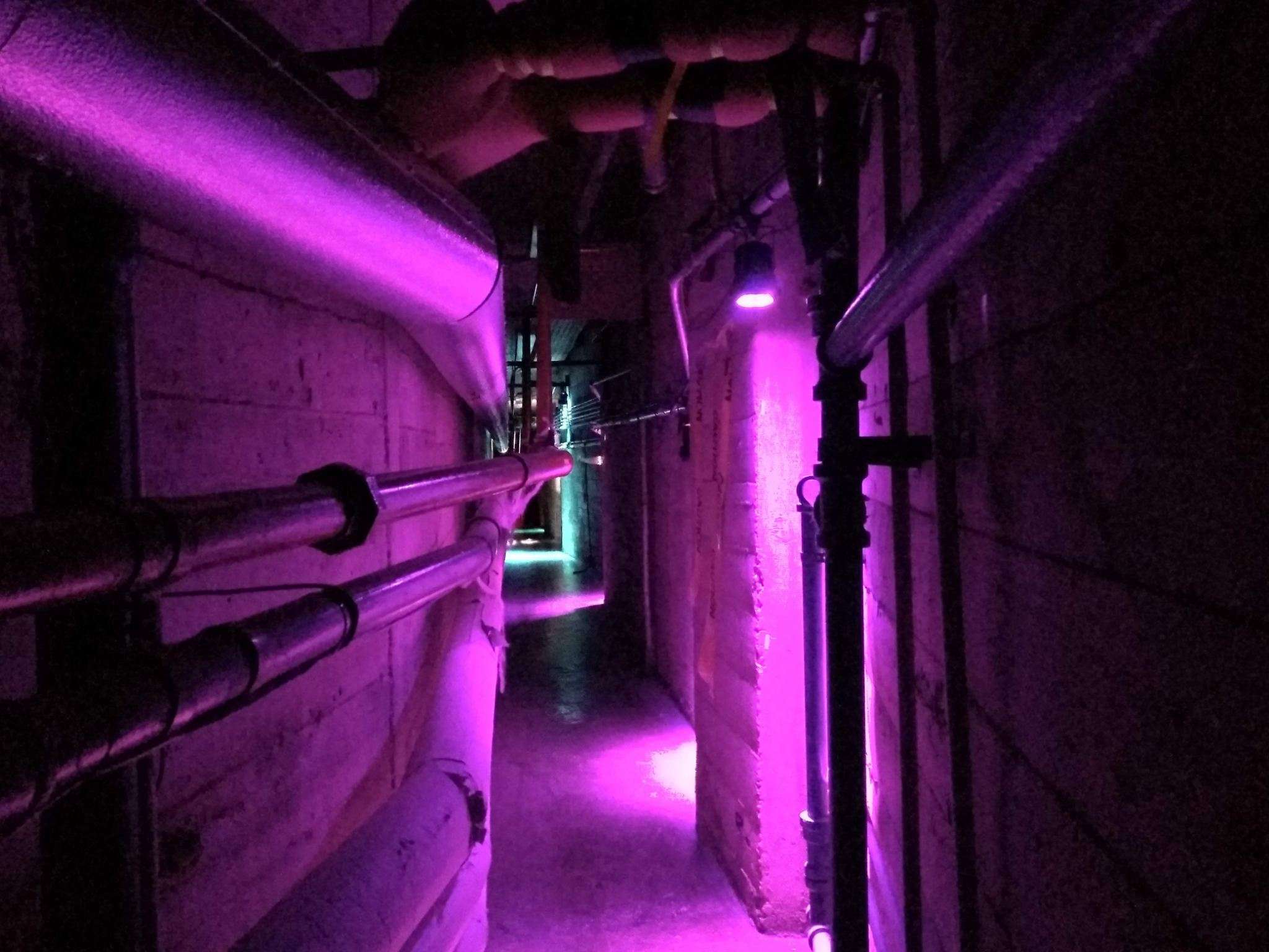 USITT to bring Halloween spirit with Spook Alley - SUU News