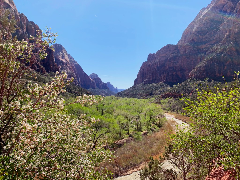 Zion shuttle reopens for spring - SUU News