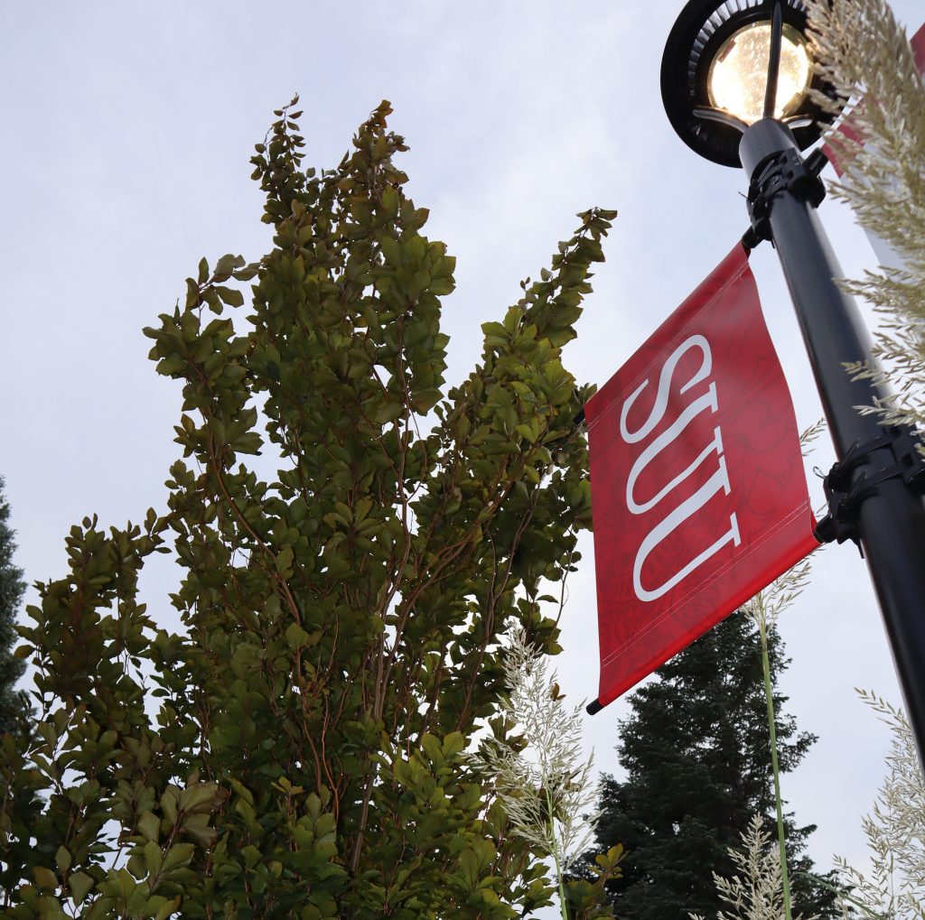 Student Senate stalls school bill to remove DEI Council - SUU News